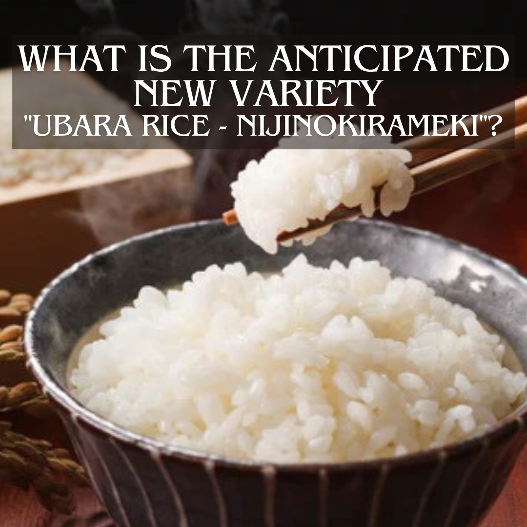 What is the anticipated new variety "Ubara Rice - Nijinokirameki"? A d ...